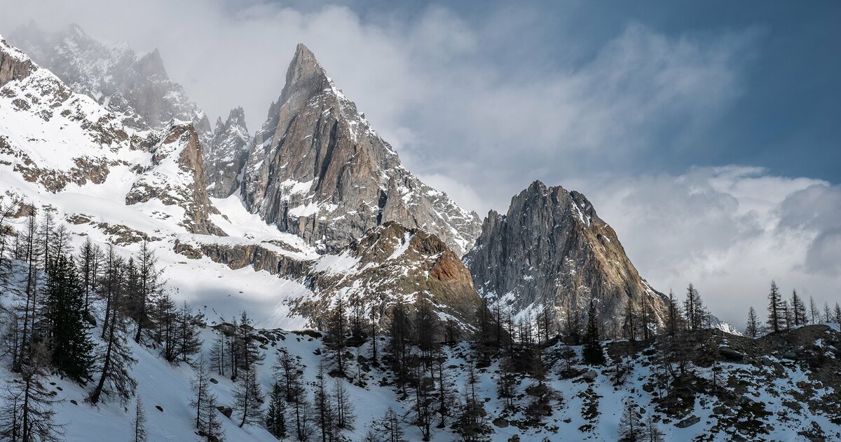 Powder Alert Freeride Paradise